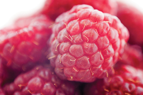 How to: Starting and Maintaining a Raspberry Patch – The Alaska Life