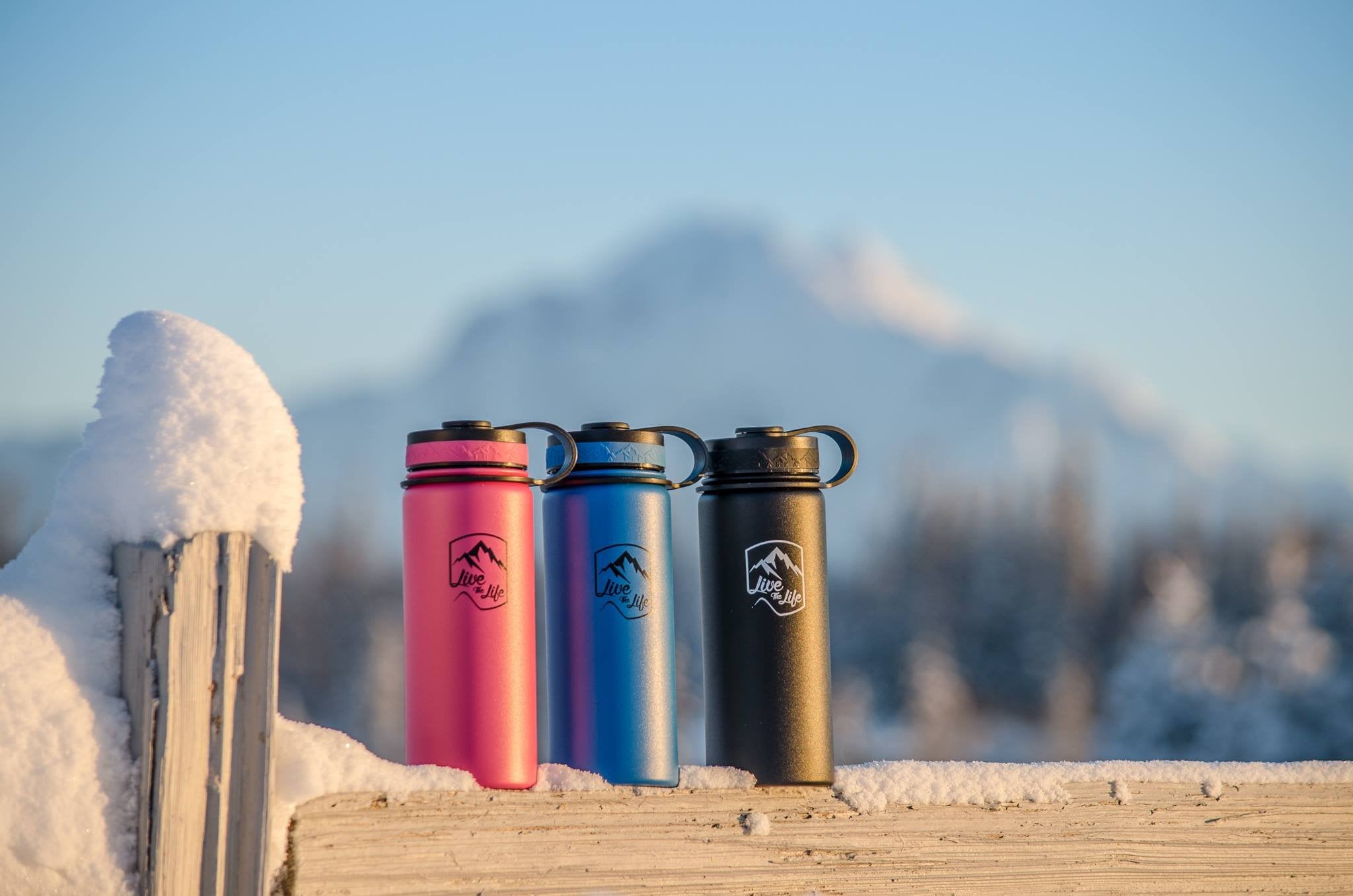 Explorer Bottle Stainless Steel 18oz. – The Alaska Life